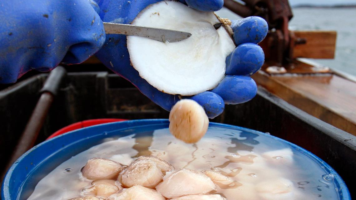 US fishing industry sees decline in catches, seafood consumption | ktvb.com