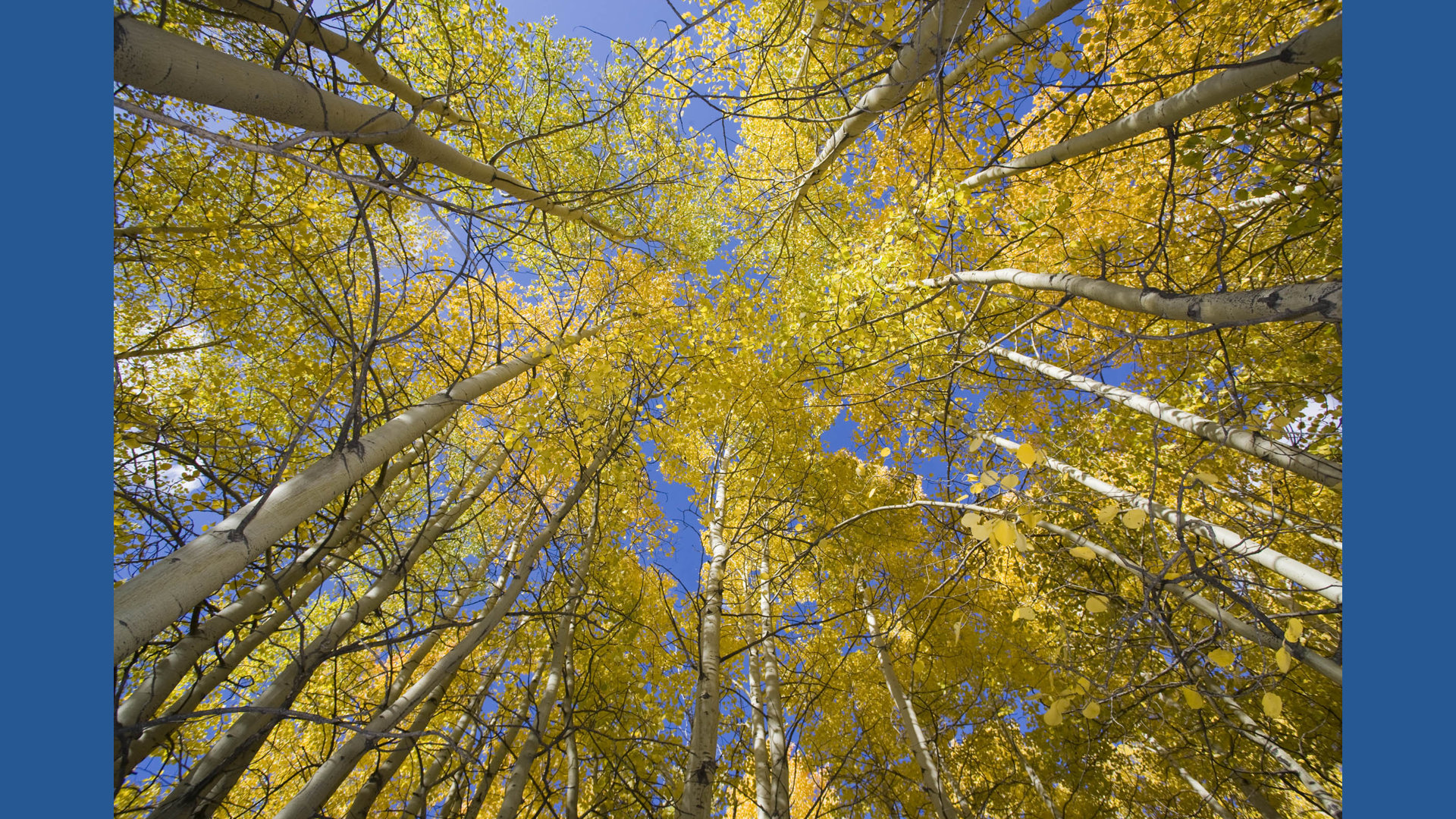 Why do fall skies appear bluer? | ktvb.com