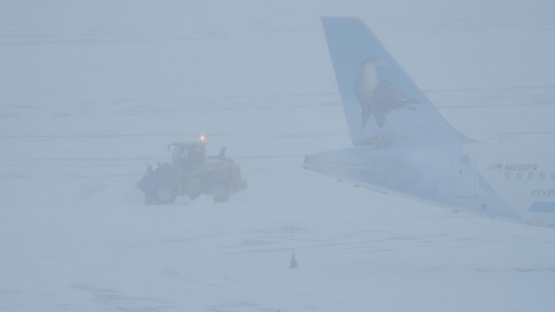 Winter storm triggers most flight cancellations since COVID pandemic ...