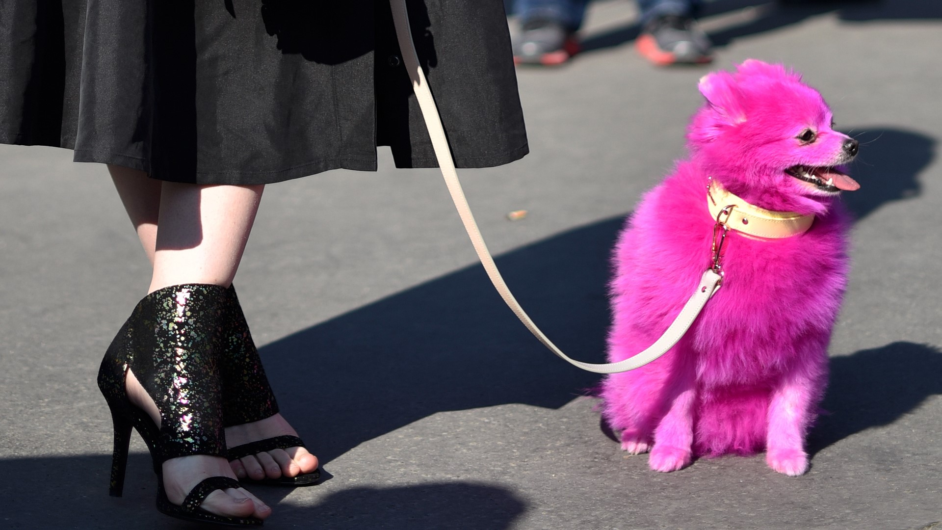 From Barbie to millenial pink: Behind the color that sells | ktvb.com