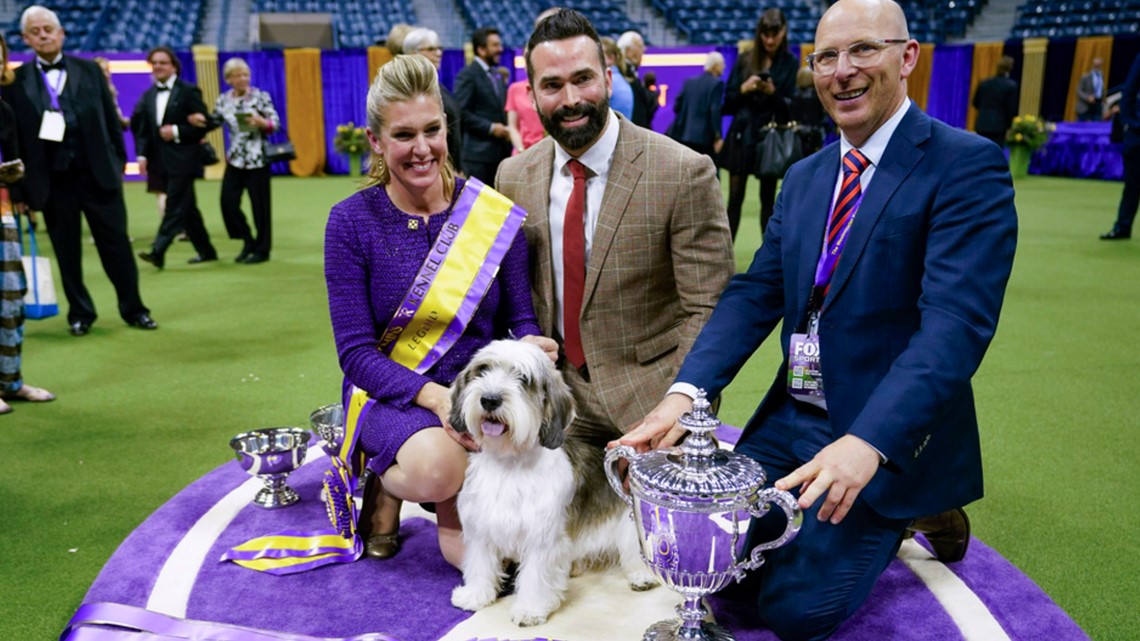 Fierce competition at the 147th Westminster Kennel Club Dog show | ktvb.com