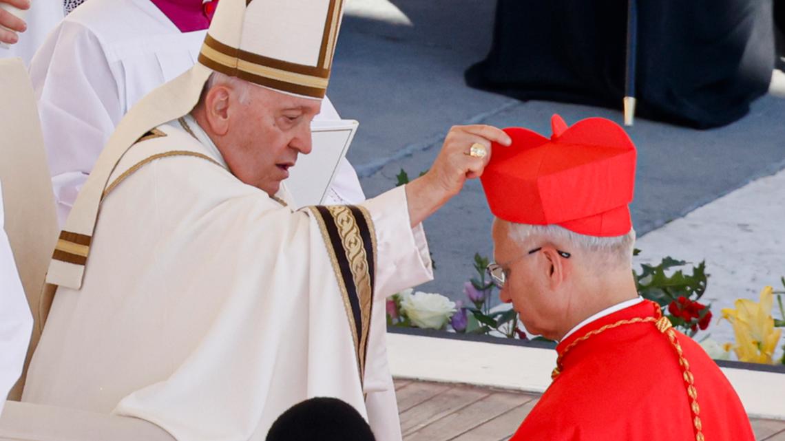 Who will be the next pope? Meet some of the cardinals considered top ...