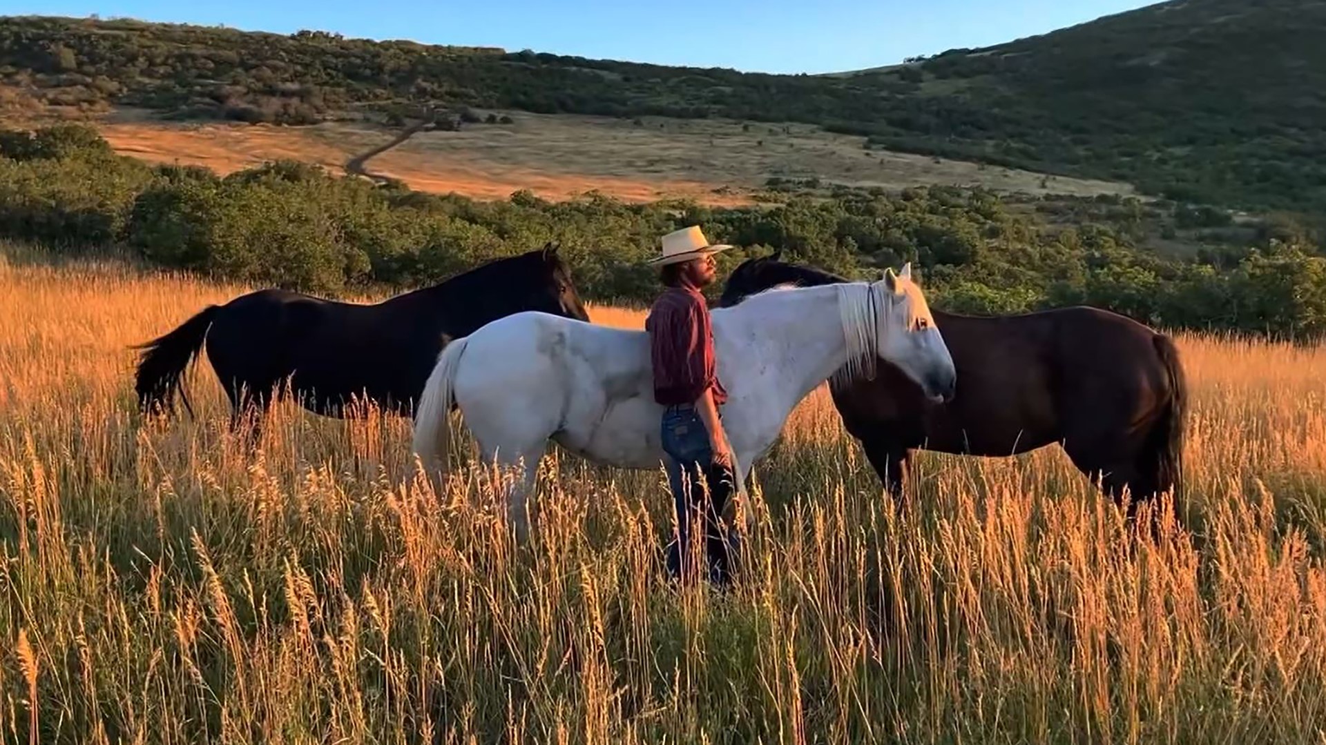 Utah rider calls horseback journey 'The Year of the Mustang' | ktvb.com