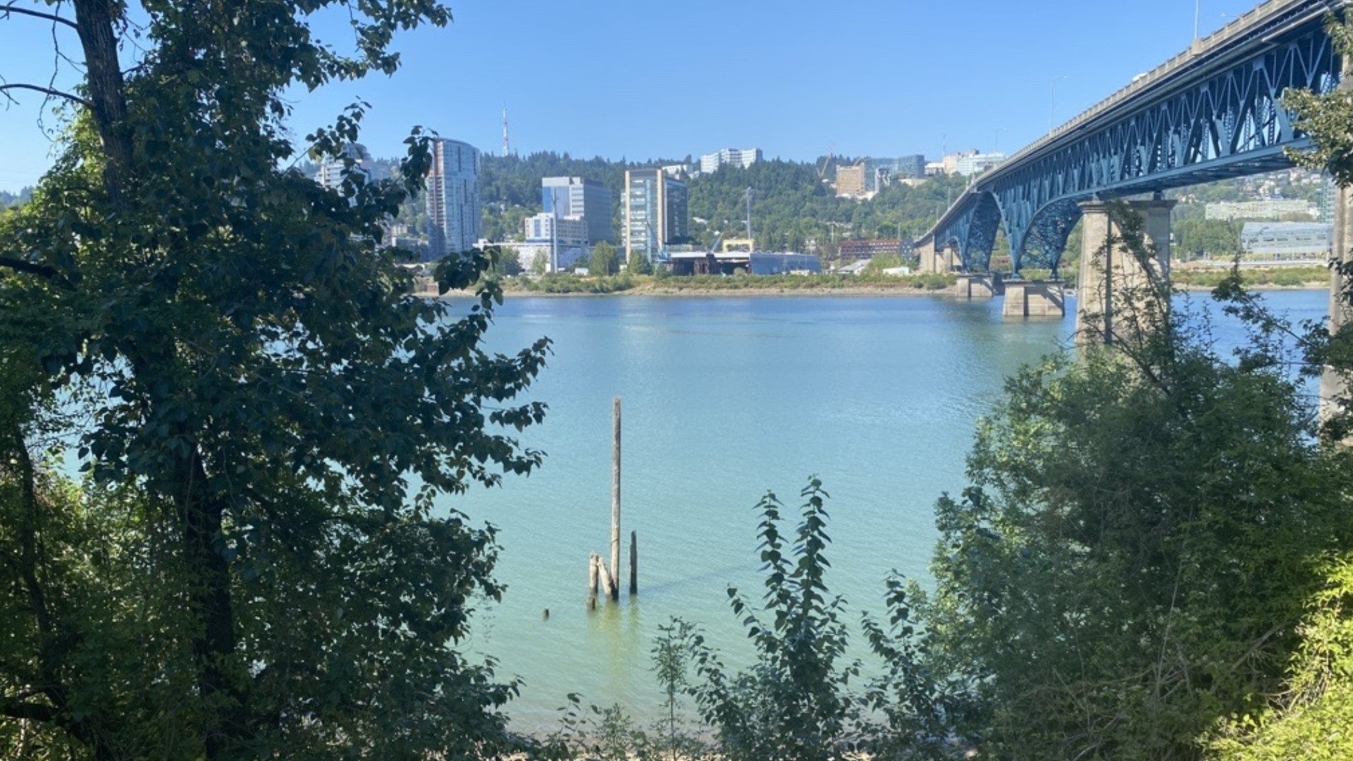 Willamette River toxic algae bloom: Restrictions in place | ktvb.com