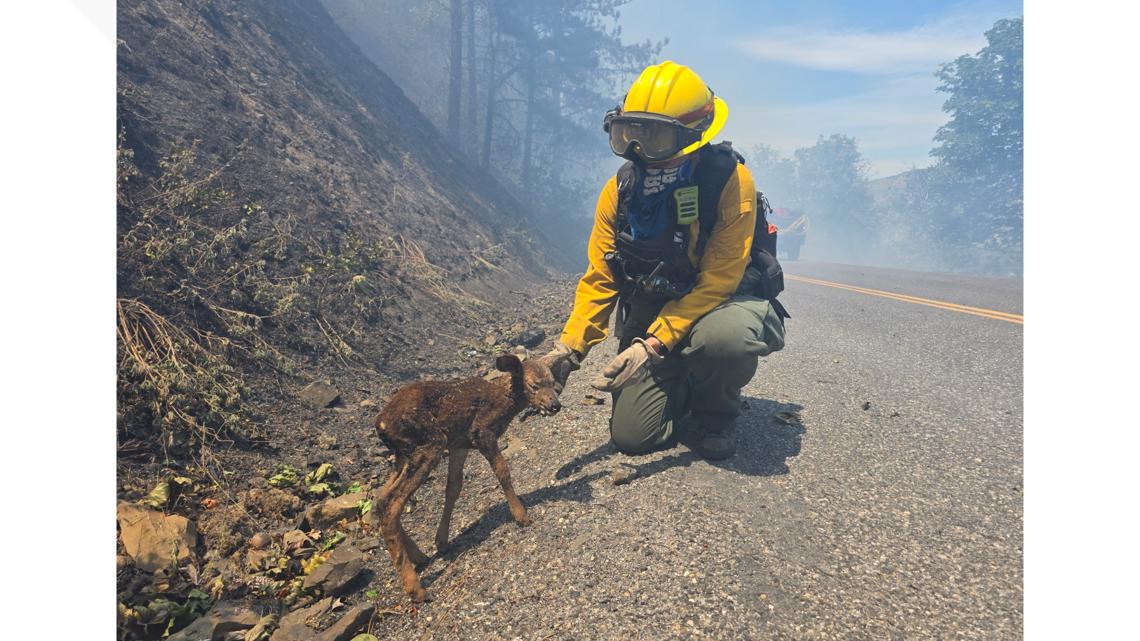 Rowena Fire at 37% containment, burns 3,570 acres and 56 homes ...