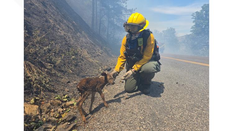 Rowena Fire at 37% containment, burns 3,570 acres and 56 homes ...
