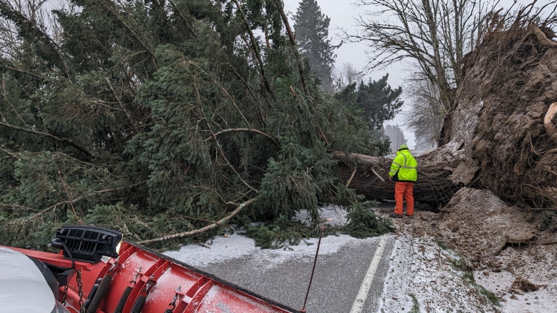 4 dead, power outages, roads locked: Portland storm aftermath | ktvb.com