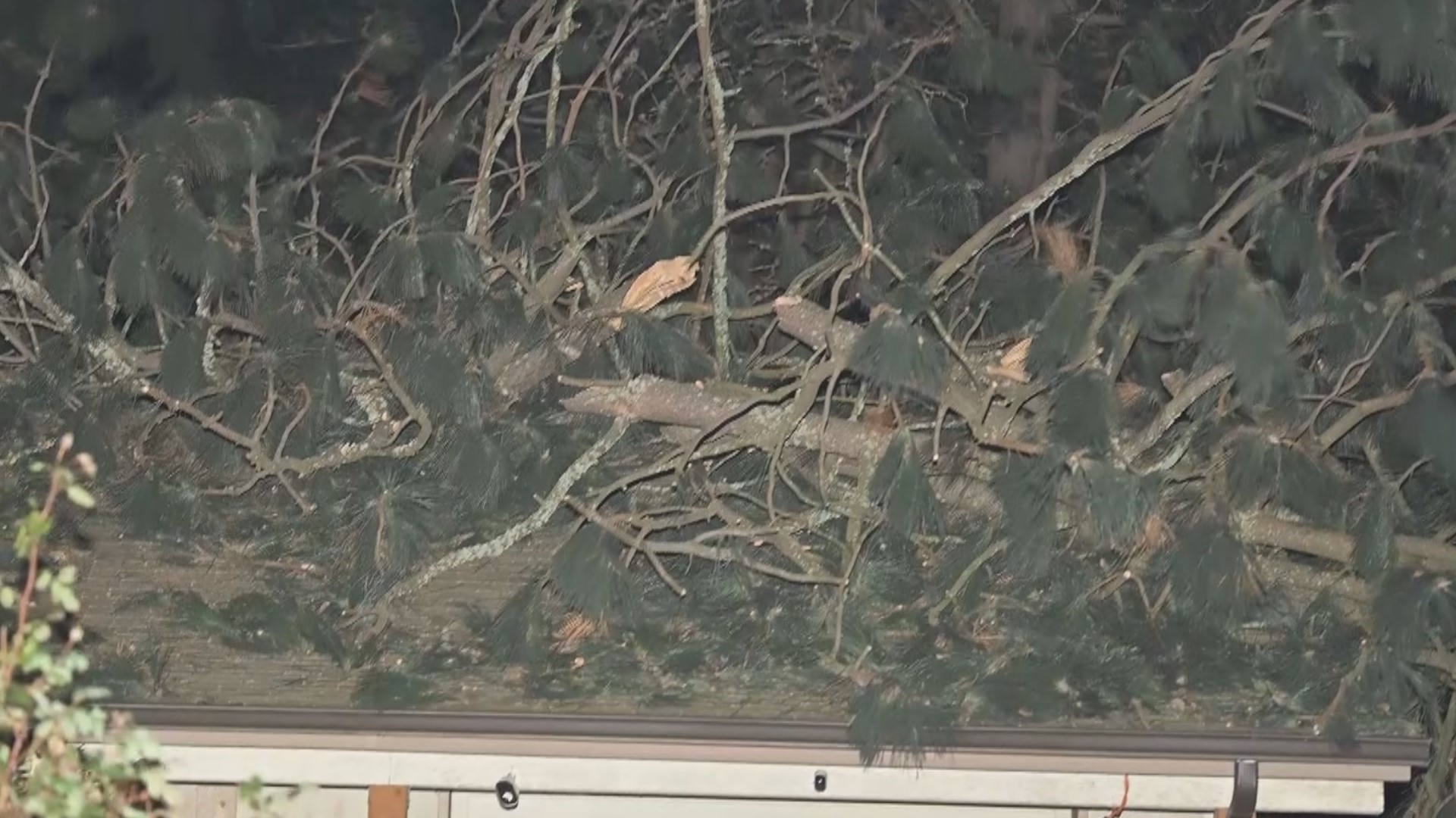 Portland winter storm: 3 dead, hundreds of thousands lose power | ktvb.com