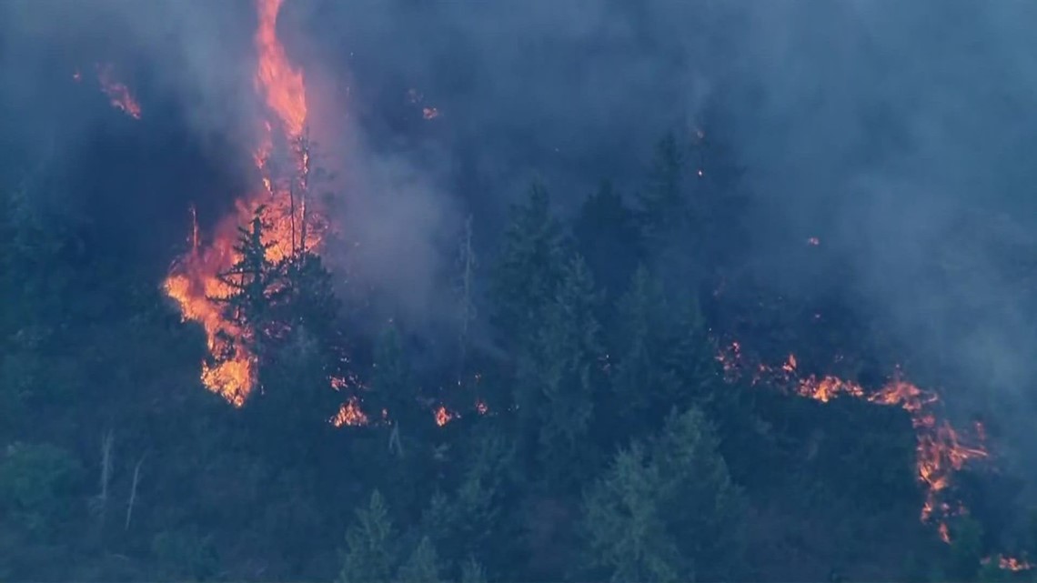 Evacuation order canceled as crews battle 250-plus acre McEwan Fire in ...