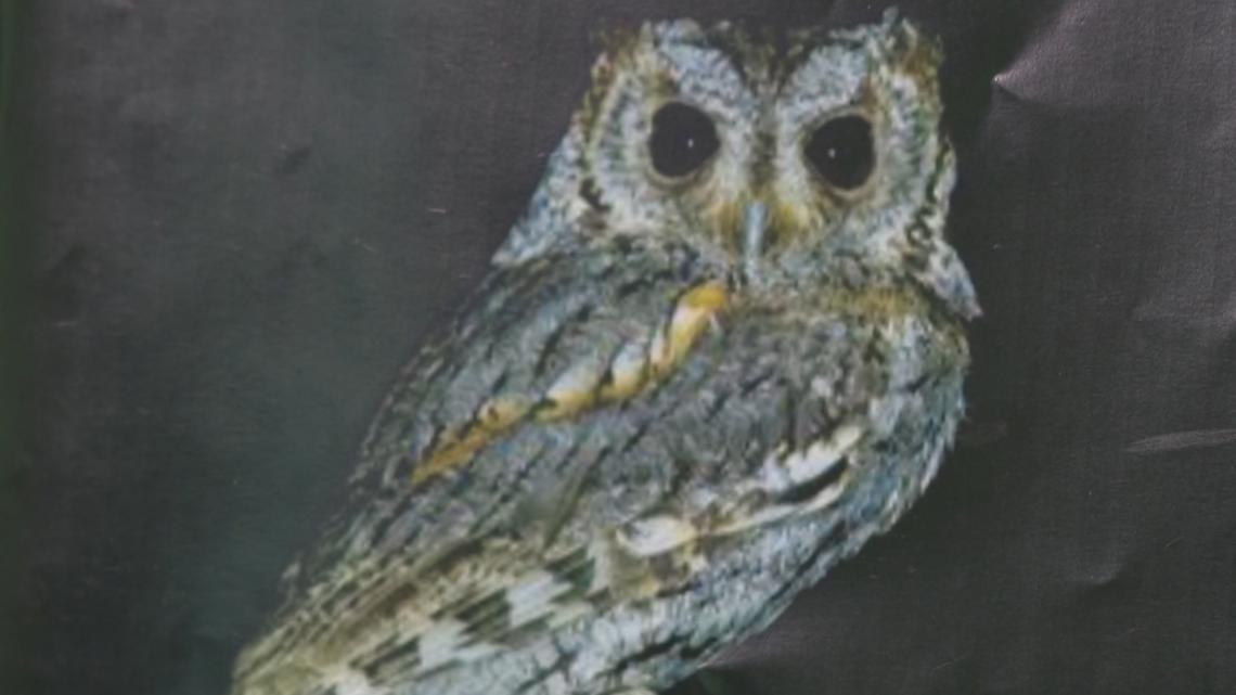 Grass fire threatens Eagle foothills structures | ktvb.com