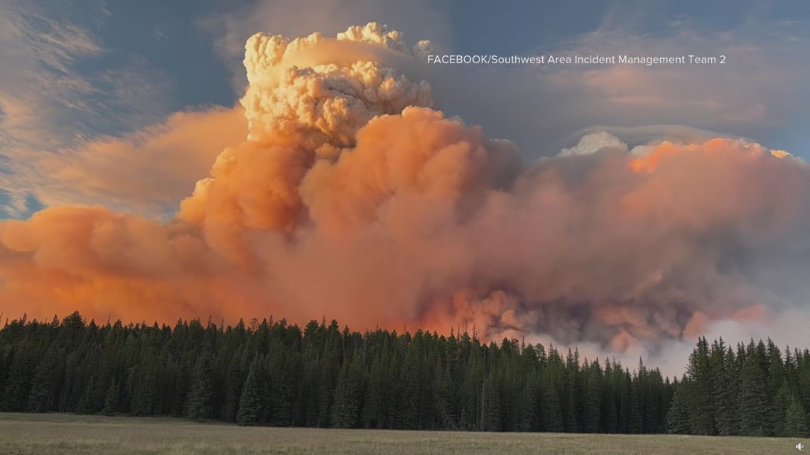 Victim's former wife takes the stand in Rob Hall murder trial | ktvb.com