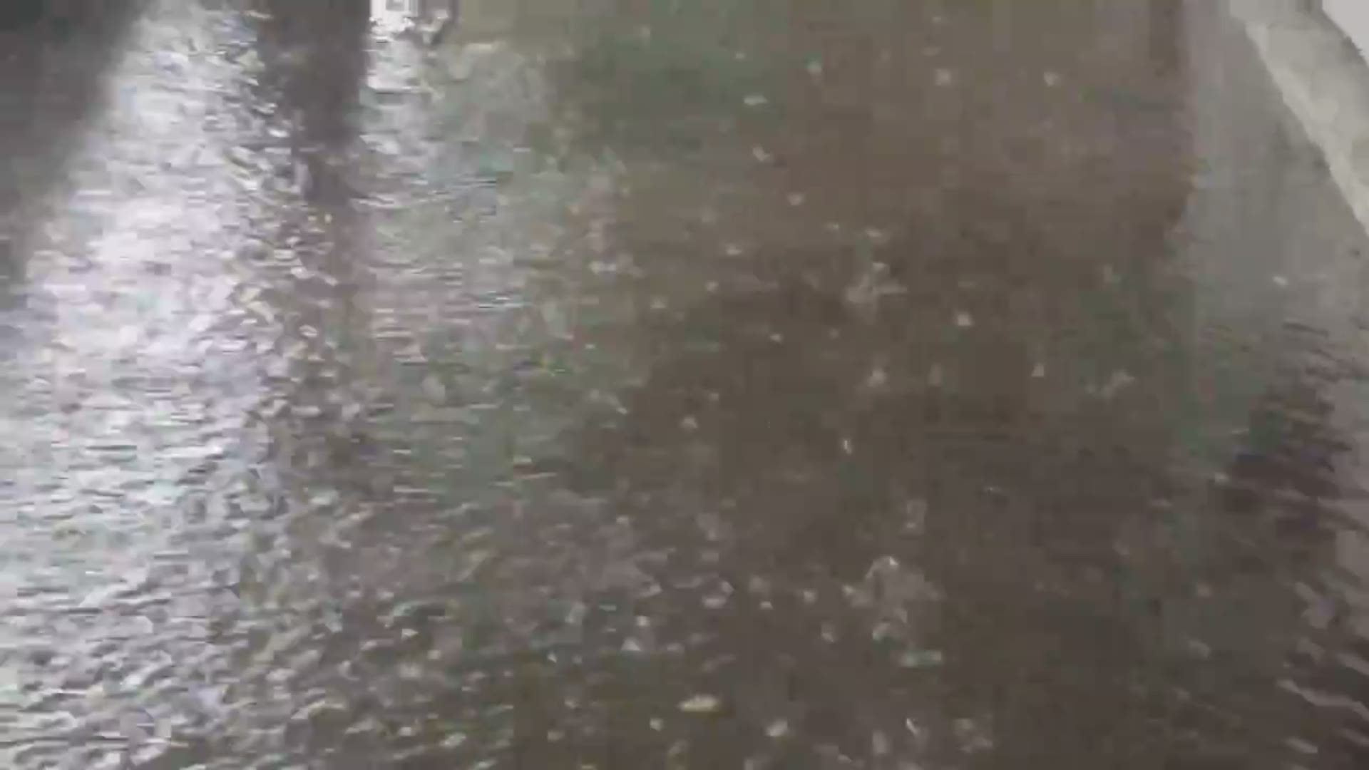 Flood Advisory issued for the Palouse as rain falls and snow melts ...