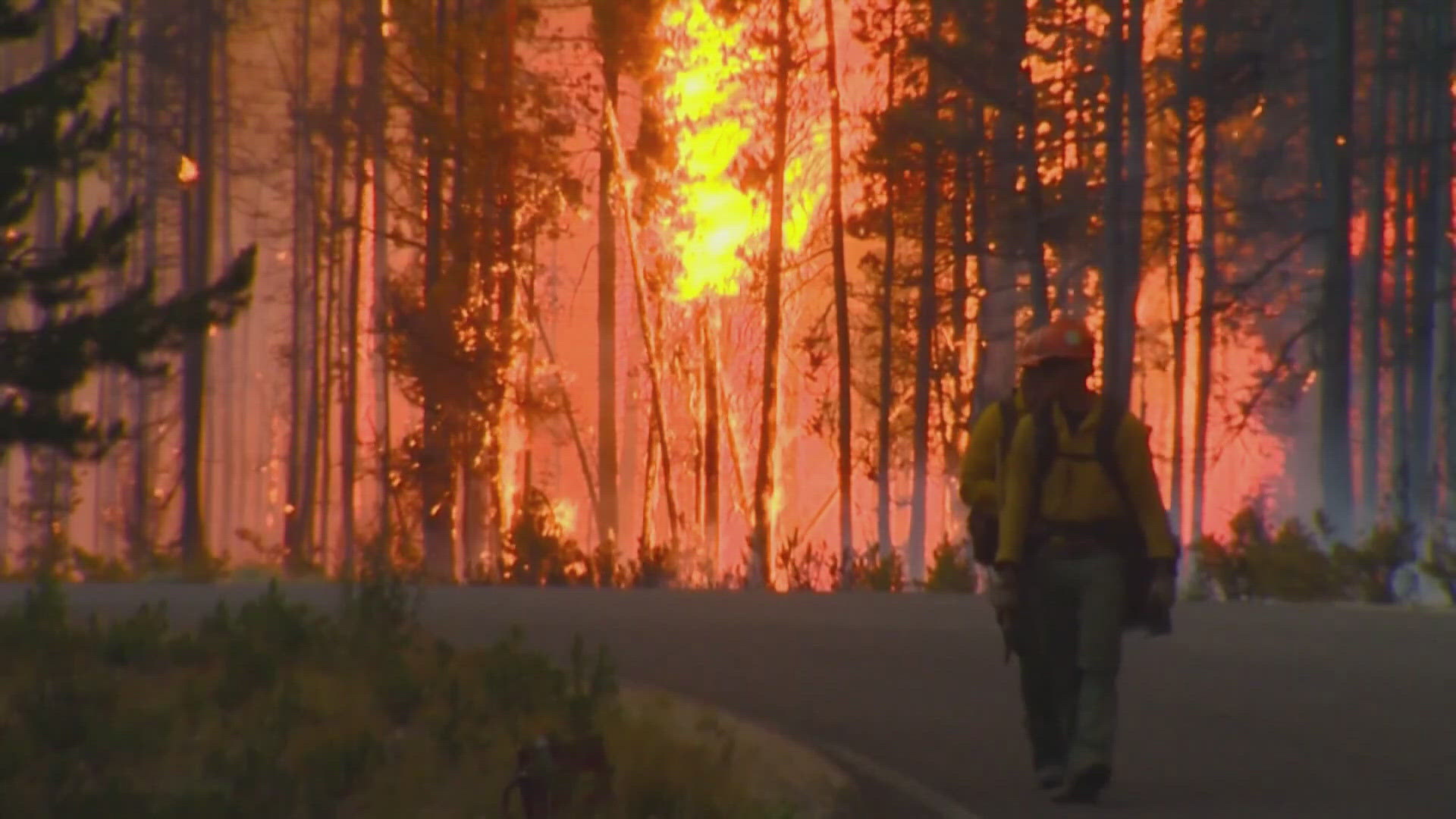 Idaho adopts 'Ready, Set, Go' as standard wildfire evacuation messaging ...