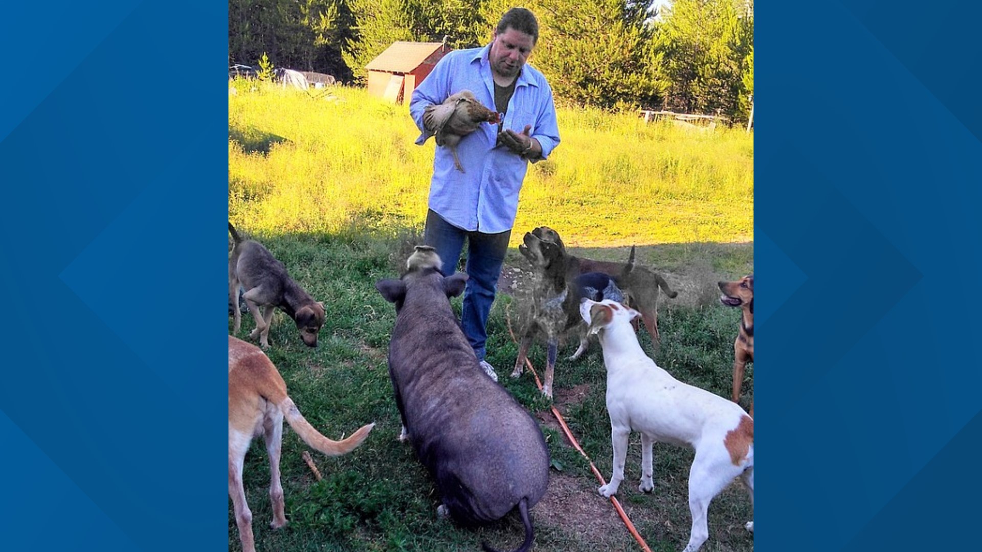 Athol man has 13 dogs seized from his property | ktvb.com