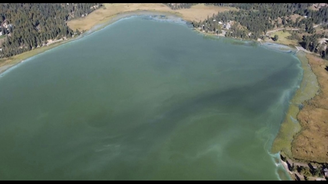 Rose Lake Beach near Coeur d'Alene River closing site | ktvb.com