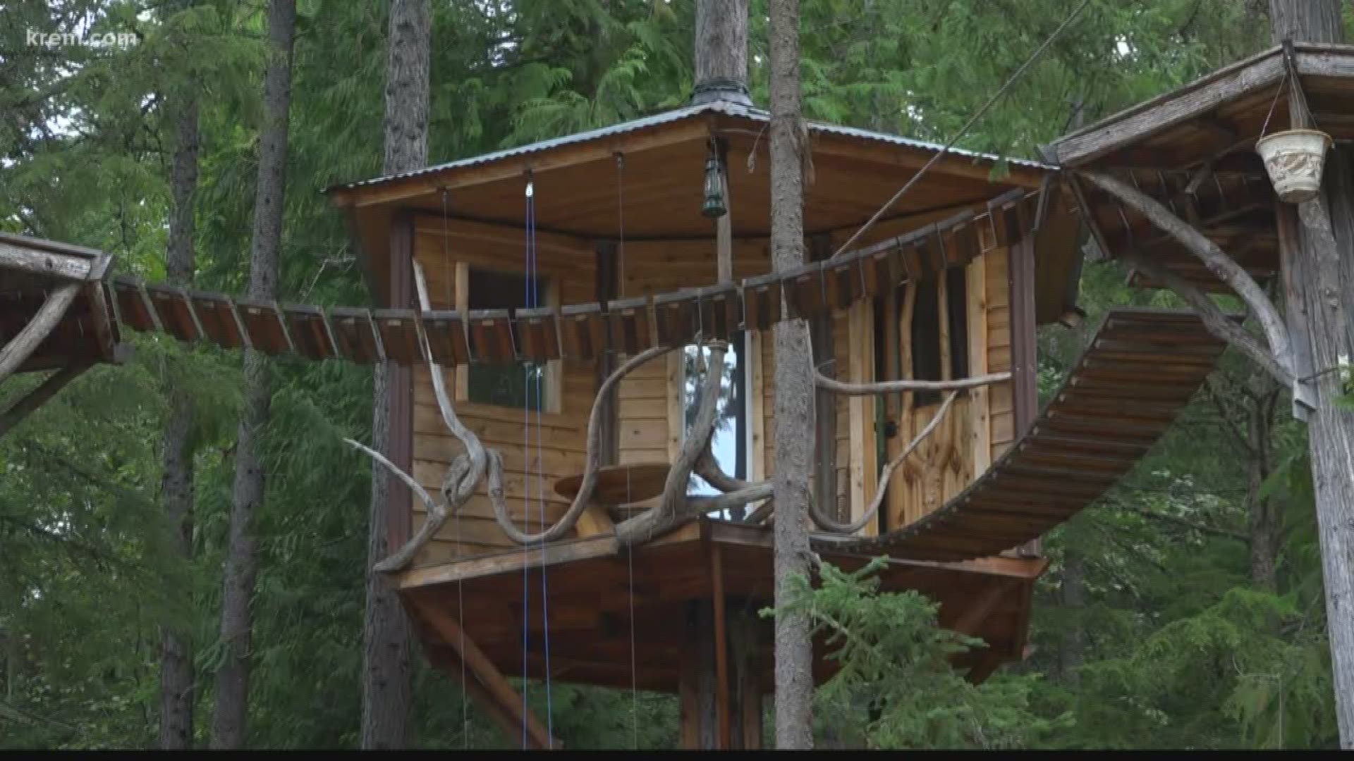 Sandpoint man's tree houses continue to attract worldwide attention ...