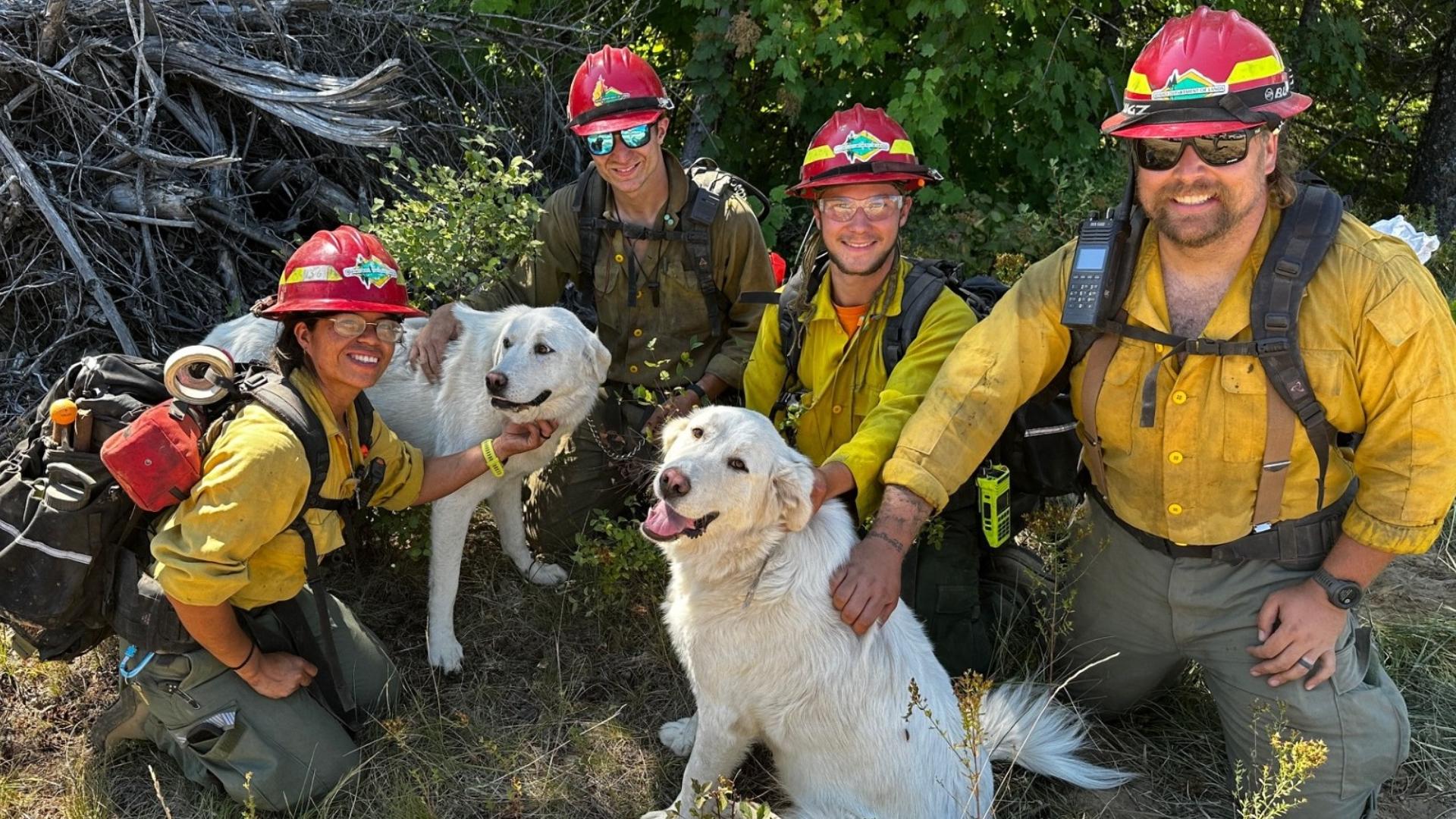 IDL firefighters reunite lost dogs with family near Sunset Fire | ktvb.com