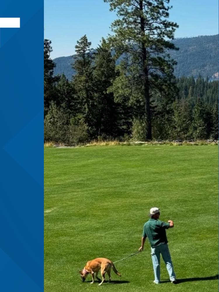 Taylor Lautner spotted in Coeur d'Alene, Idaho | ktvb.com