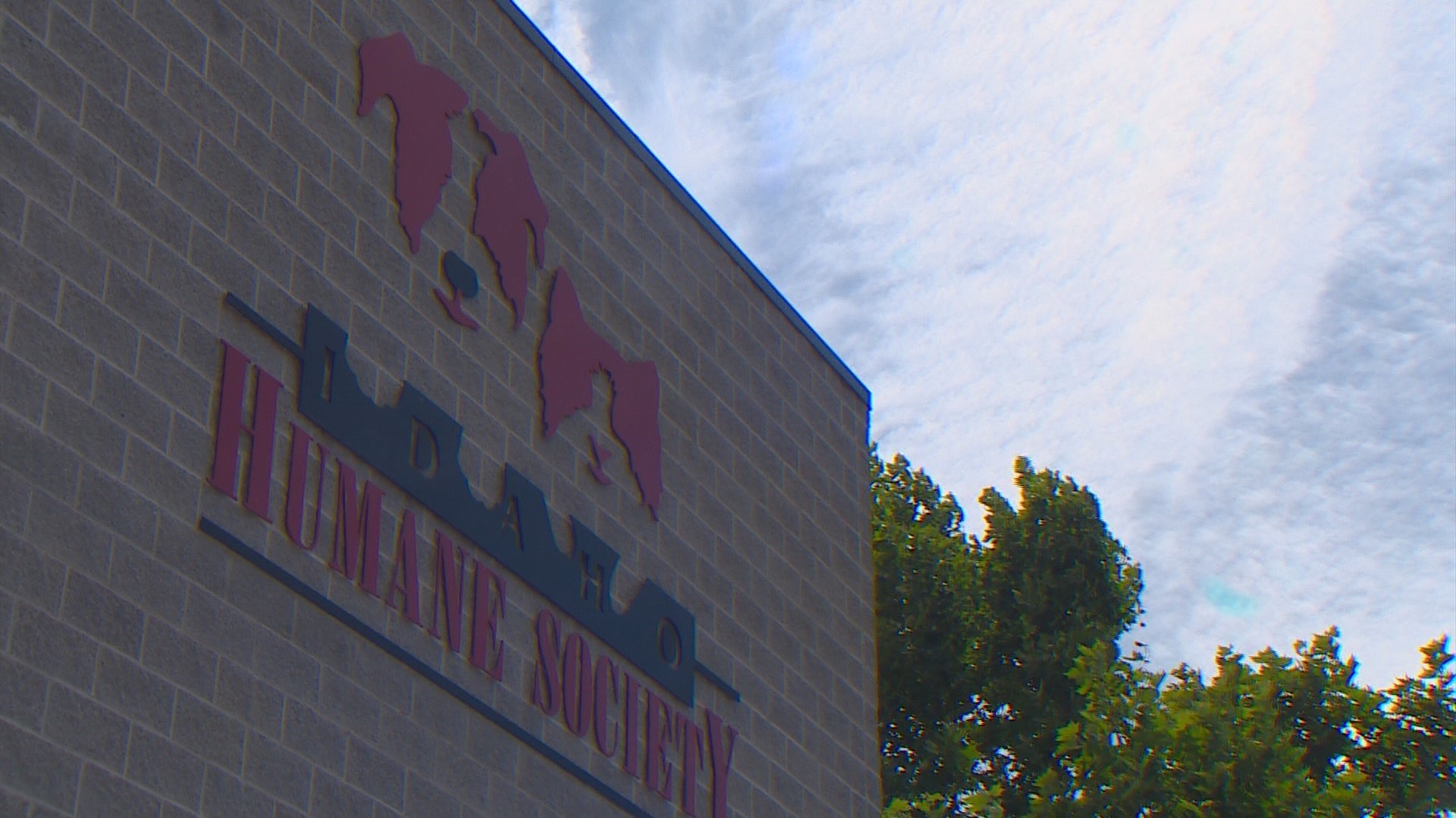 Idaho Humane Society's Easy Fund helps over 70 dogs in 2021 | ktvb.com