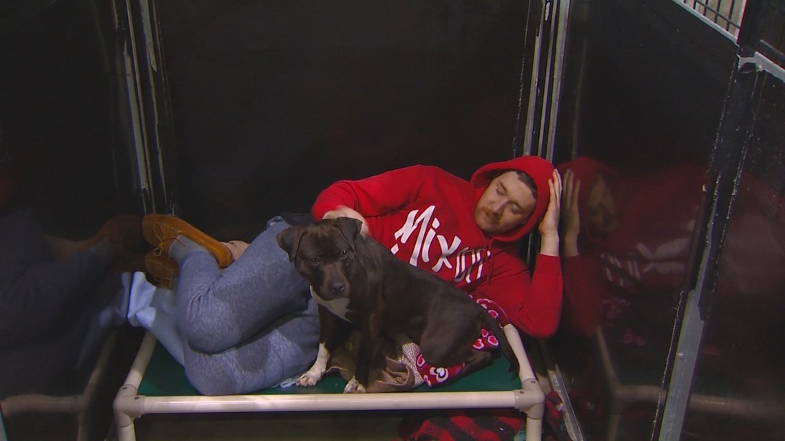 Meridian Canine Rescue looks 'Through the Eyes' of adoptable dogs and ...