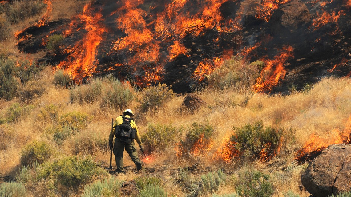 Lawsuit: BLM withholding wildfire fuel break information | ktvb.com