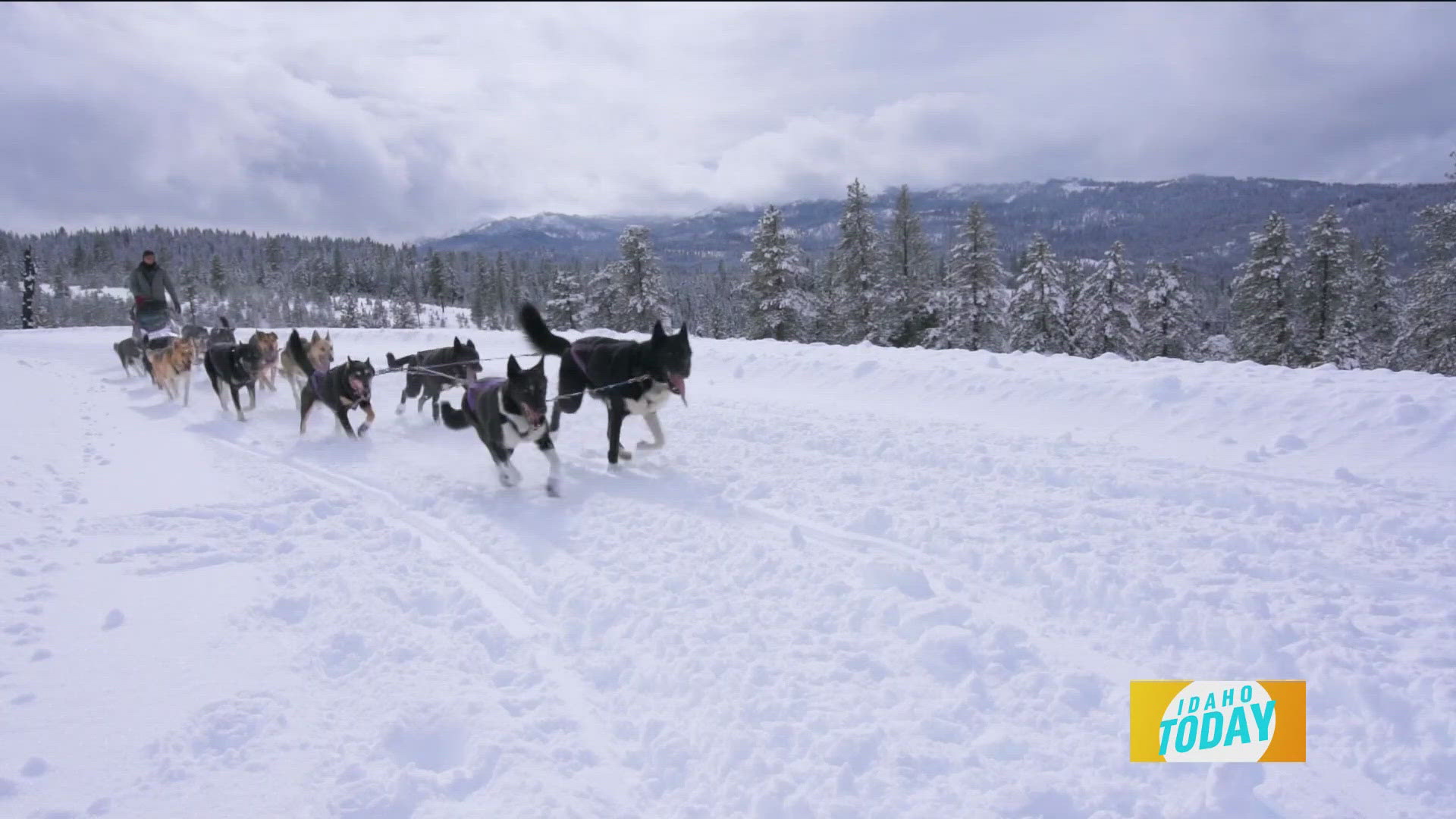 Idaho Sled Dog Challenge thrills both spectators and its four-legged ...