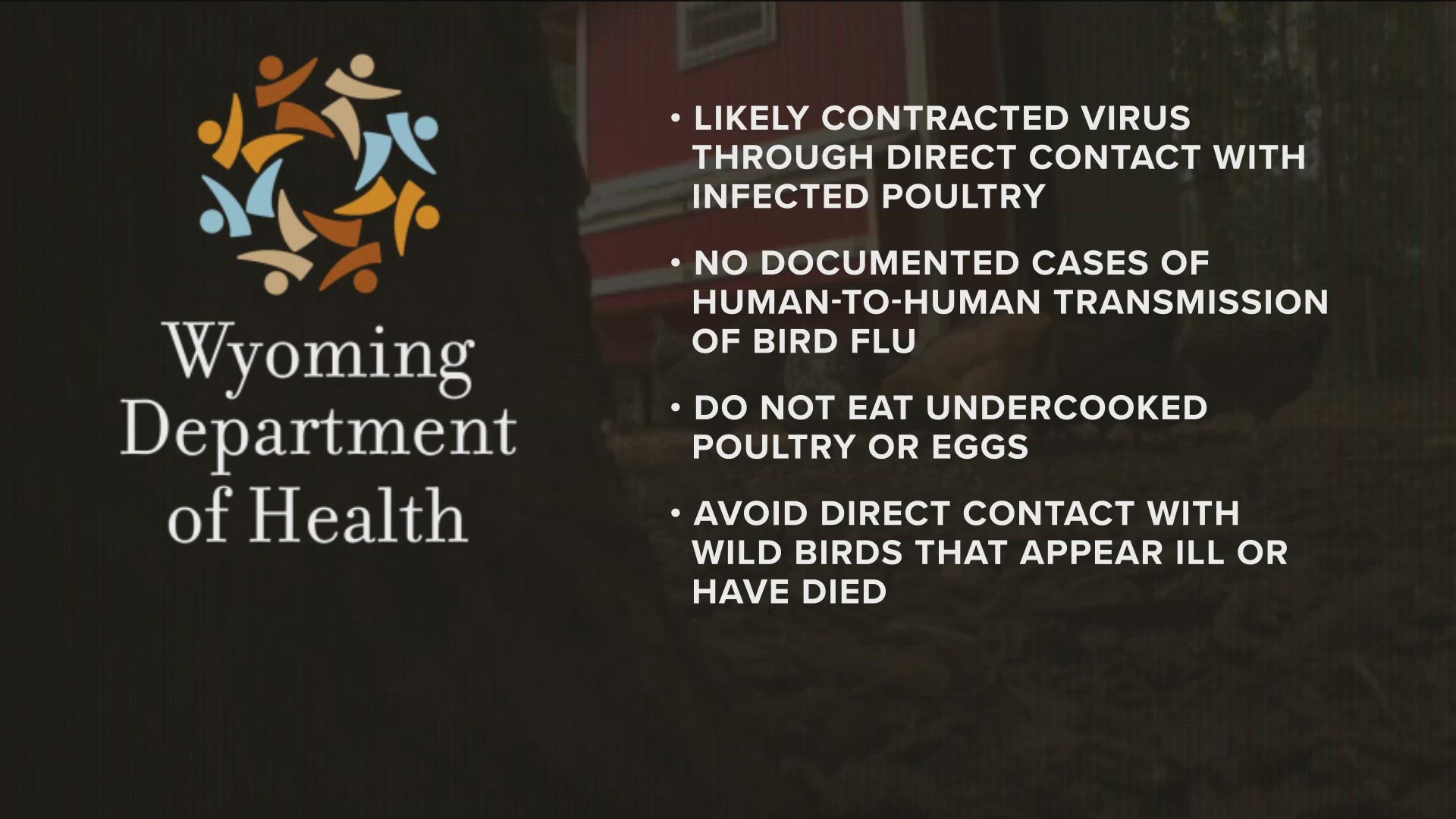 Wyoming reports first human case of Bird Flu | ktvb.com