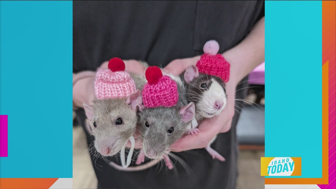 Adorable Pics Of Pets To Brighten Your Day! | ktvb.com