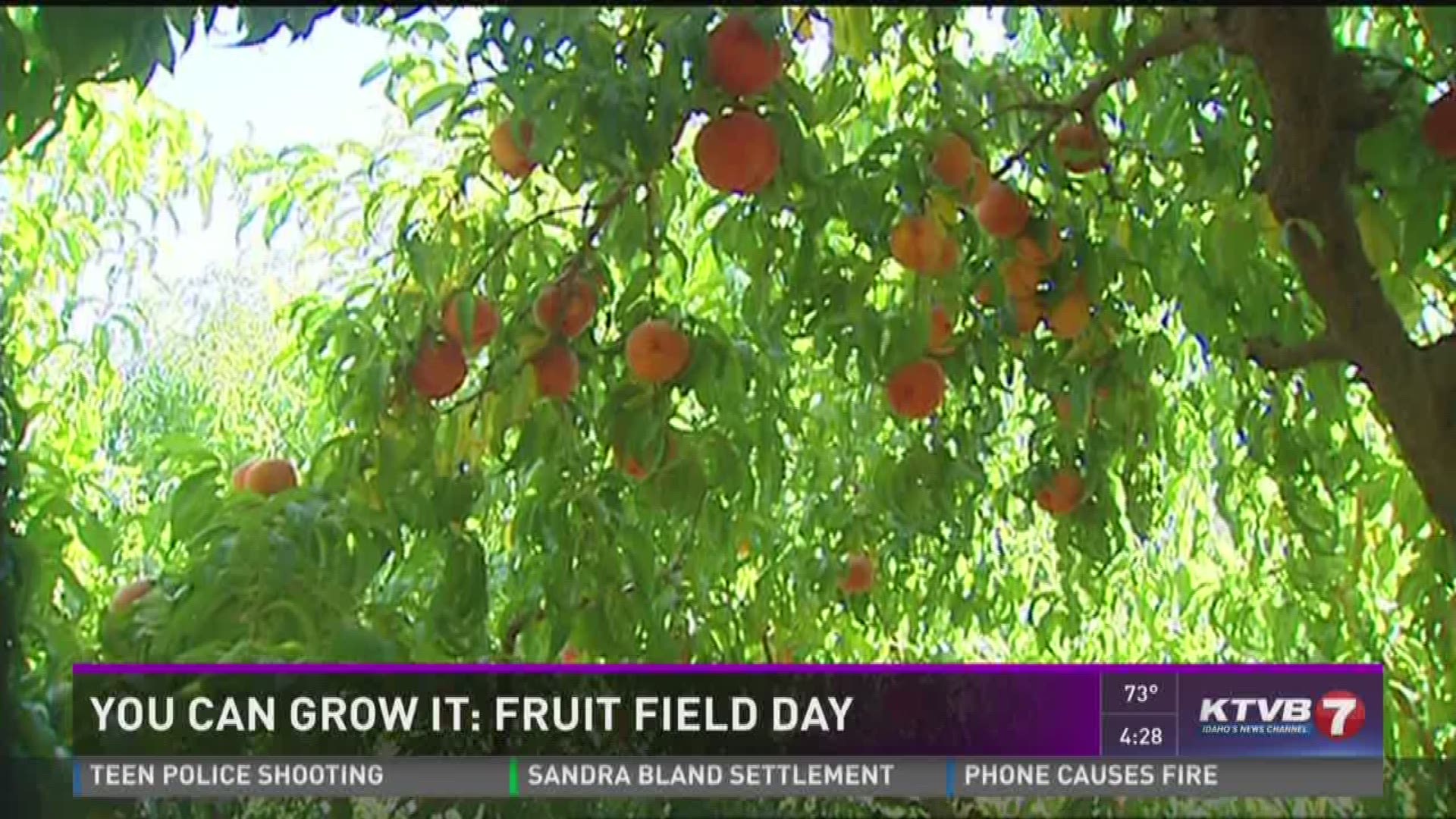 You Can Grow It: Fruit Field Day #2 | ktvb.com