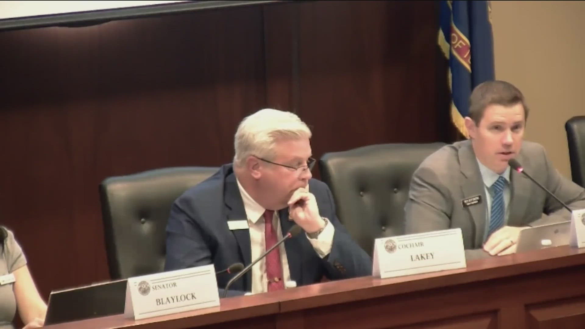 Idaho DOGE task force meets to discuss government efficiency plans ...