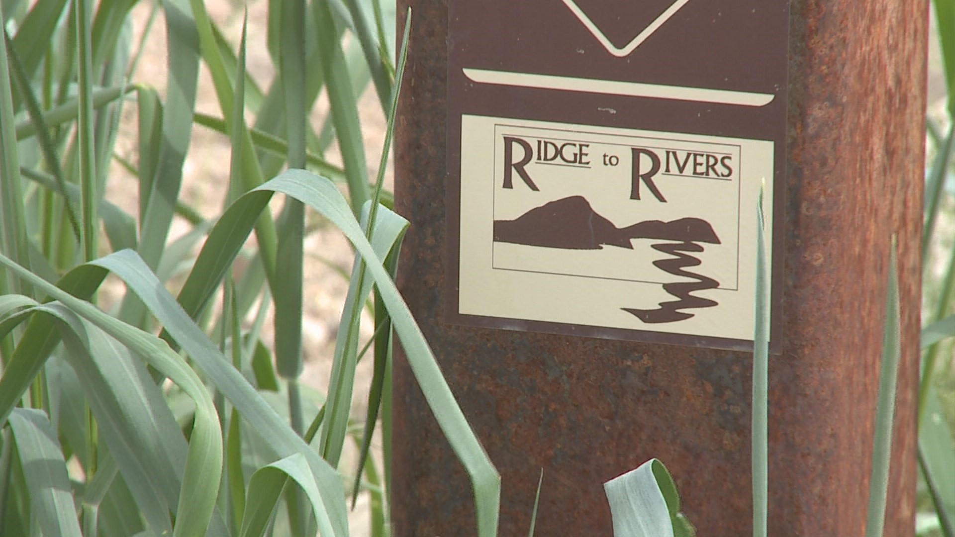 New Ridge to Rivers map is more interactive for trail users | ktvb.com