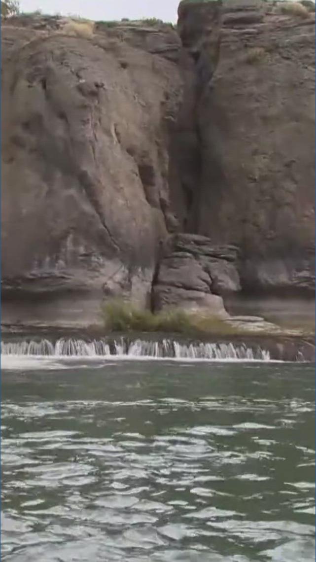 Idaho cuts Snake River quagga mussel impact by 51% | ktvb.com