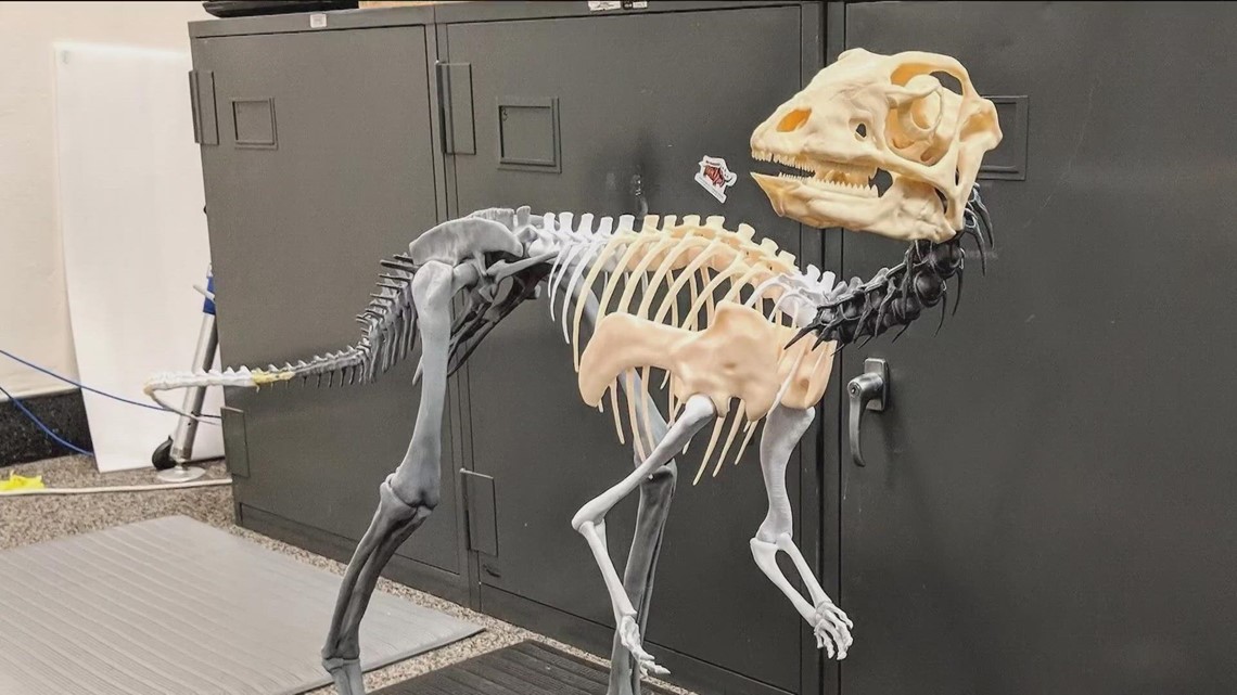 Could the Oryctodromeus be Idaho's next state symbol? | ktvb.com