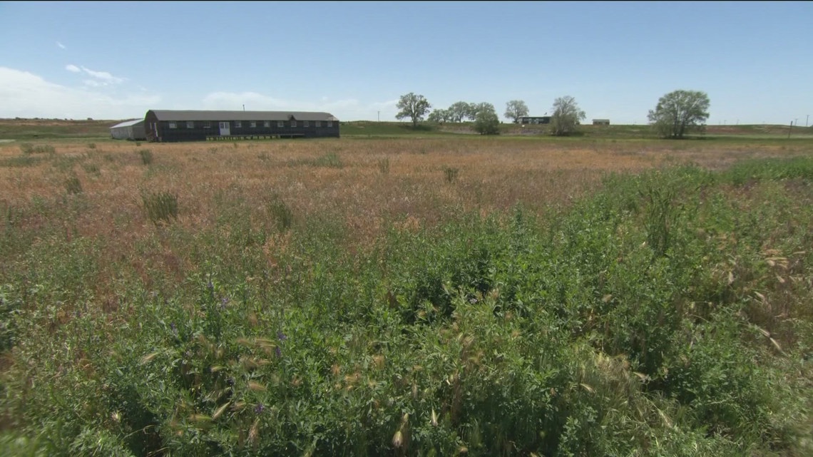 BLM moves forward with Lava Ridge Wind Project releasing final decision ...
