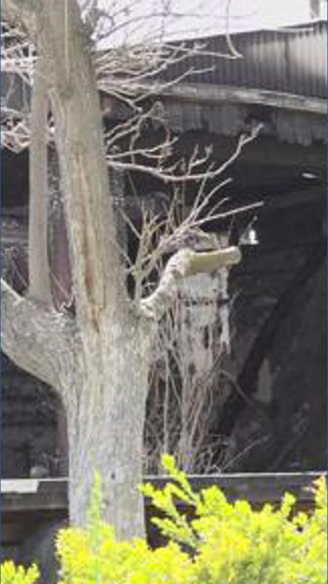 Nyssa fire response delayed by onlookers crowding scene, officials say ...