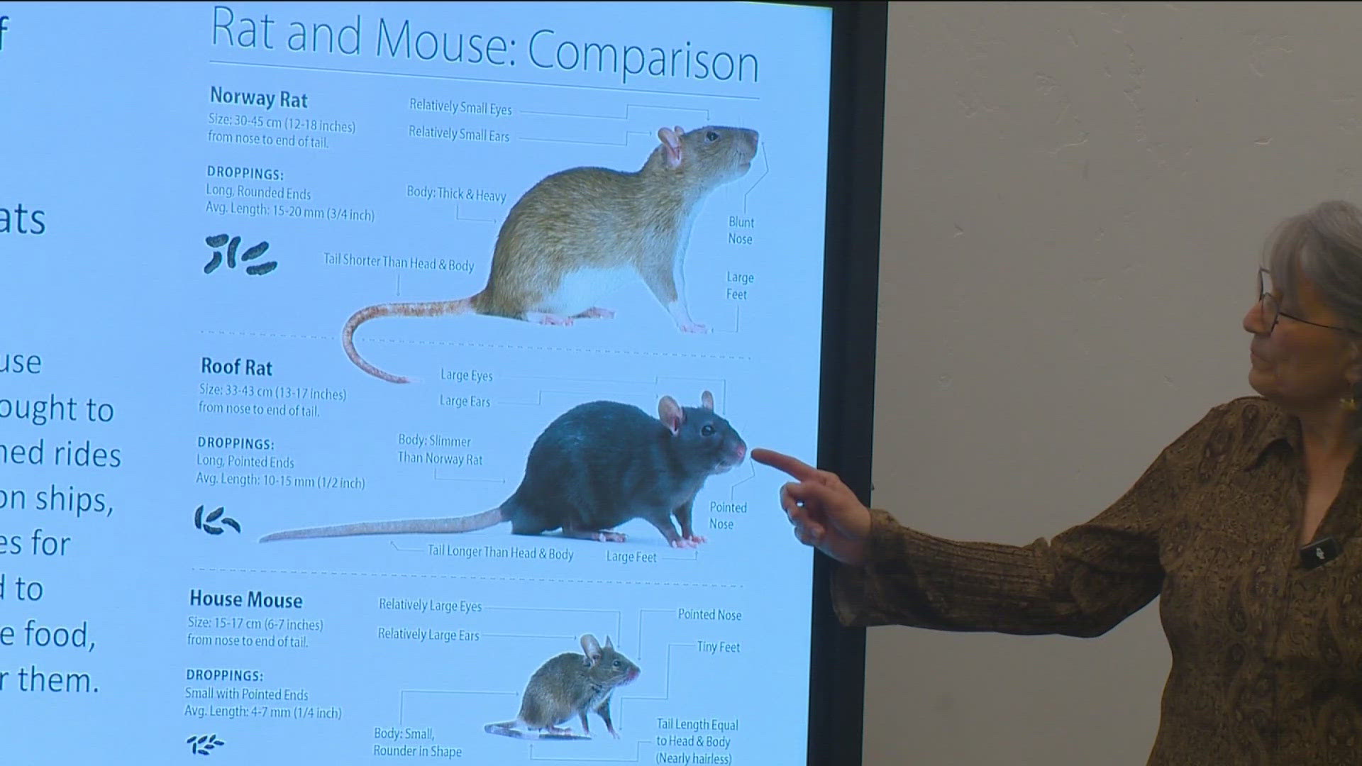 Eagle residents learn to combat rats expecting 2025 population increase ...