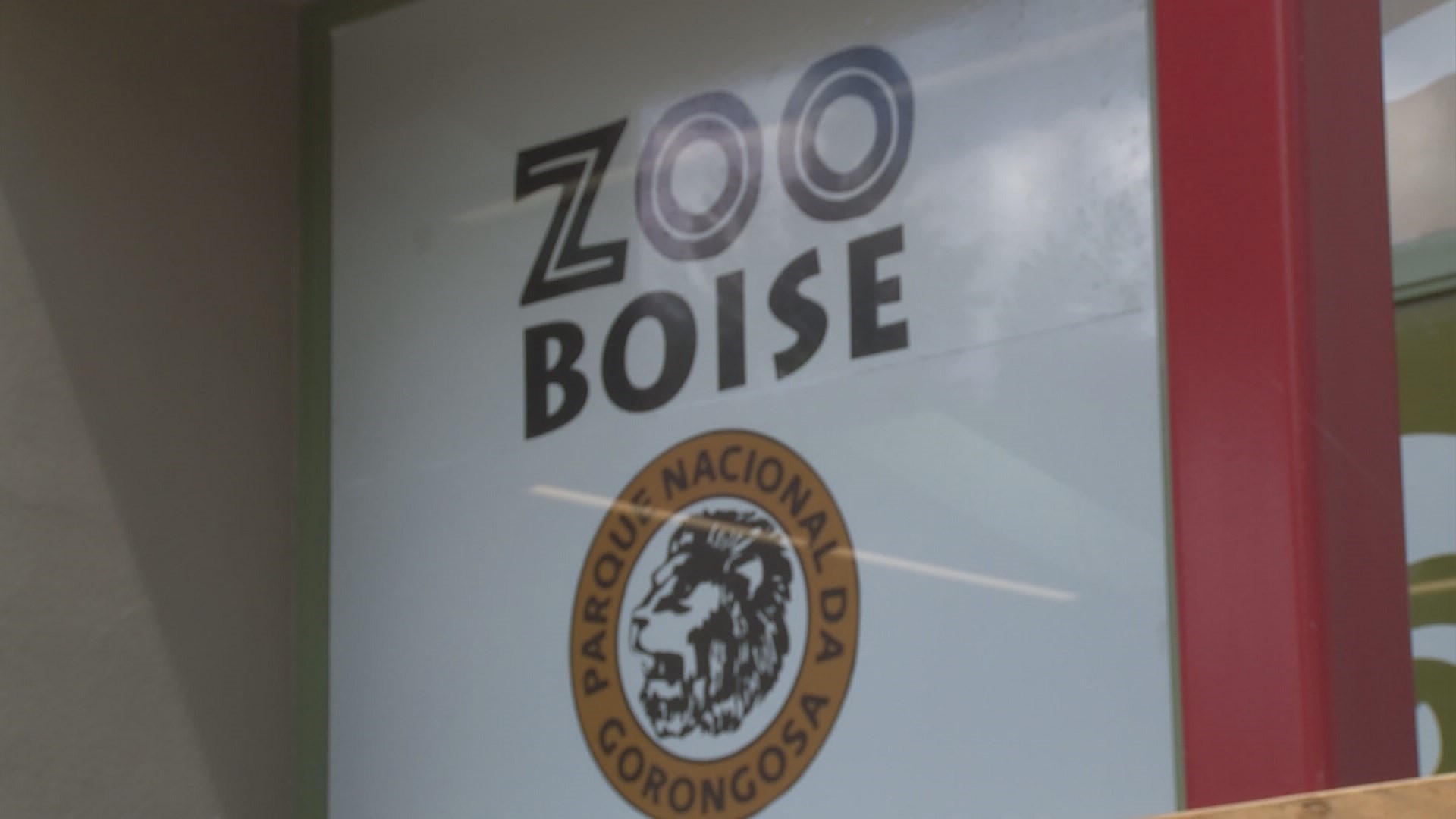 Zoo Daze raises money for major expansion project | ktvb.com