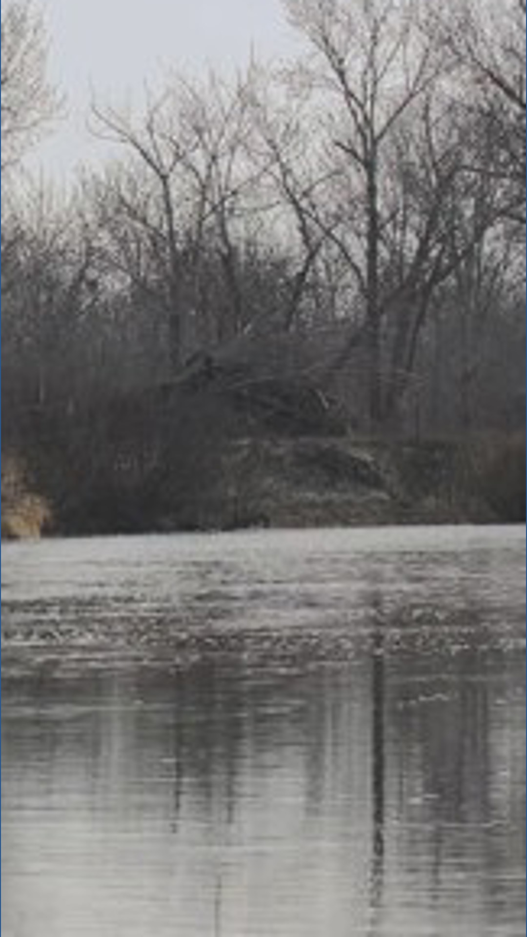 Boise River bank stabilization funded by flood management grant | ktvb.com