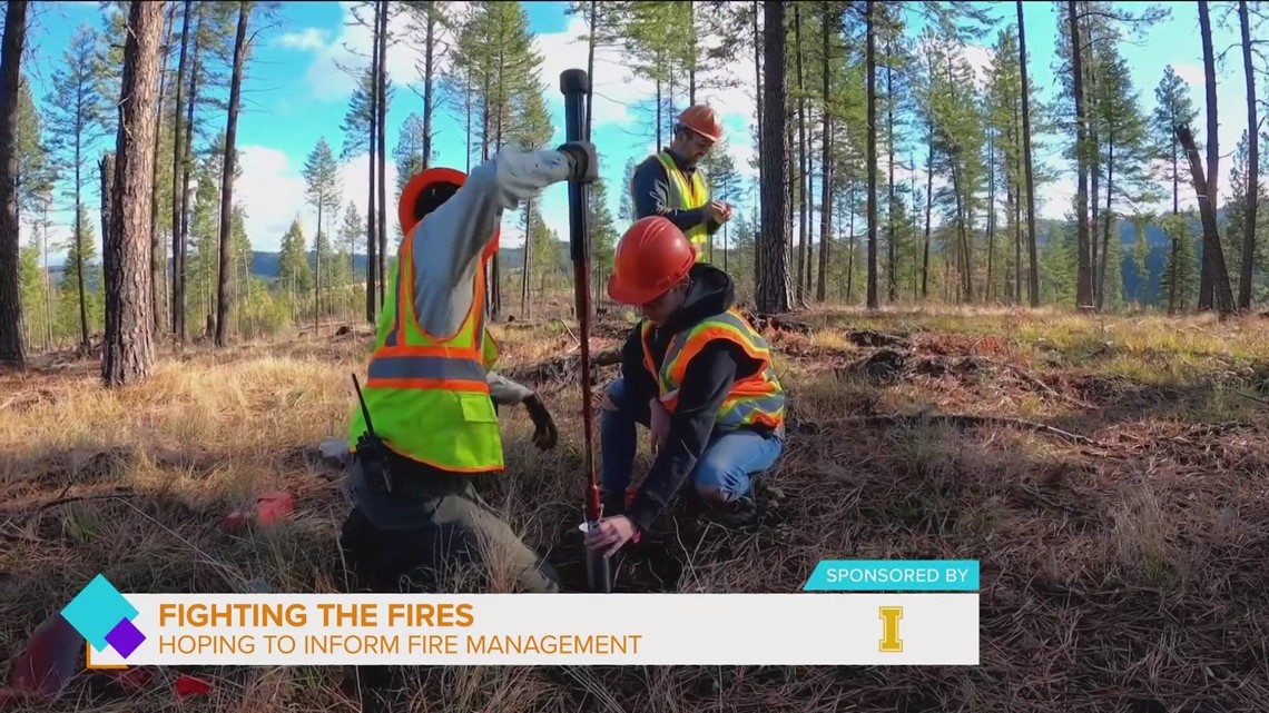 University Of Idaho Uses AI And Other Digital Tools To Improve Forest Health With ‘Smart ...