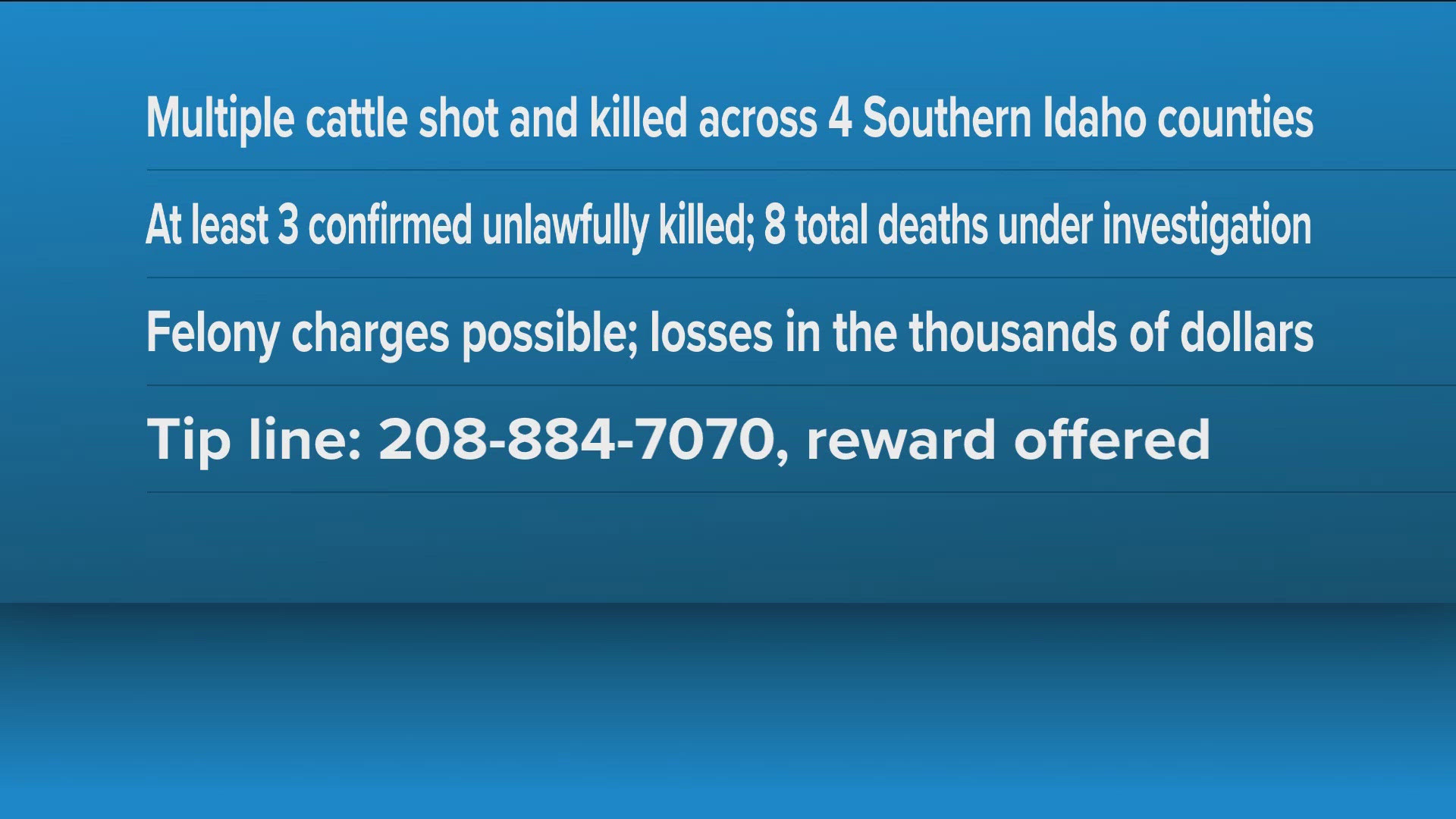 Investigators searching for leads following reports of multiple dead ...