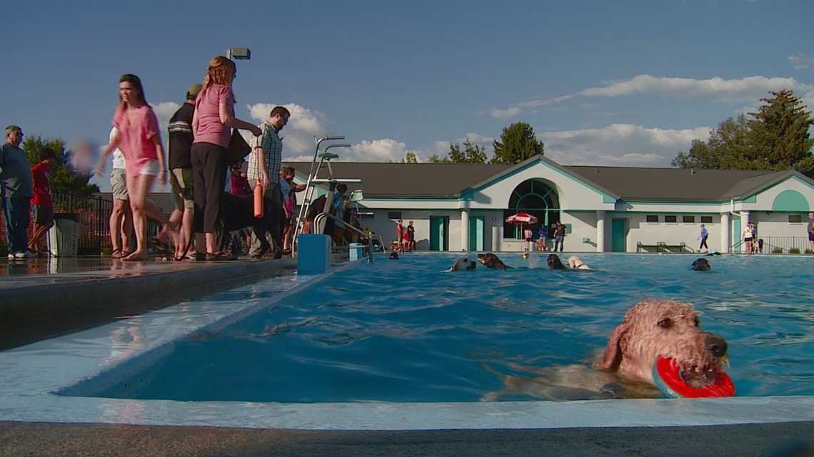 Boise pool goes to the dogs | ktvb.com