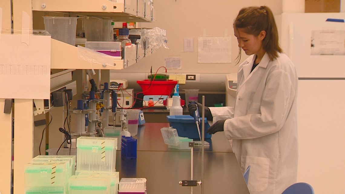 Boise State offers new doctorate in biomedical engineering | ktvb.com