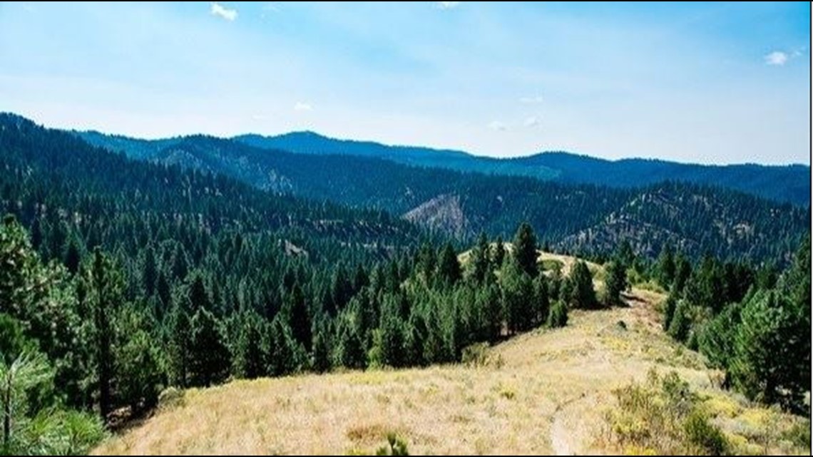 Student photographers inspire in Idaho Arbor Day contest | ktvb.com