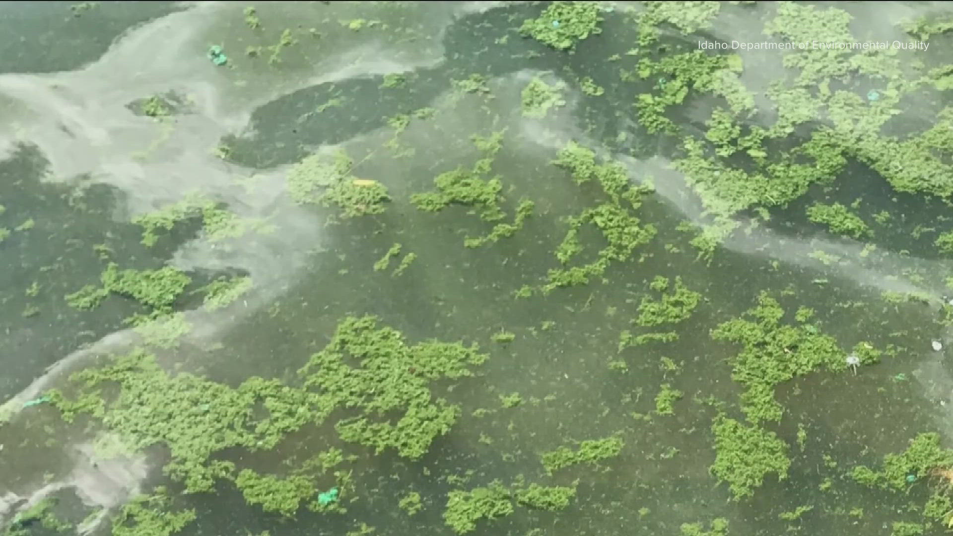 Caldwell Pool reopens July 2 after drowning incident | ktvb.com