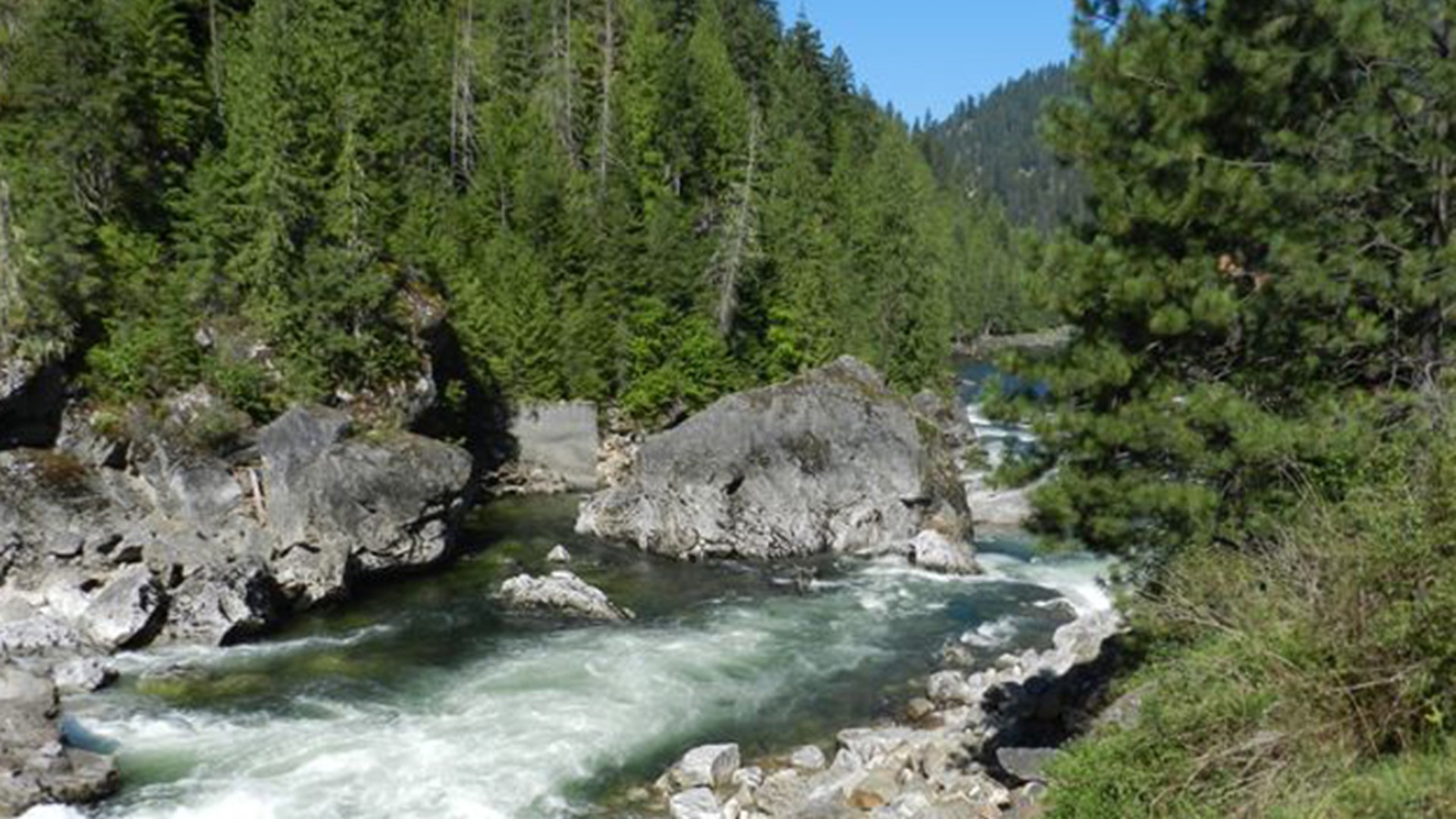 Hunters' bodies found weeks after crash into Selway River | ktvb.com