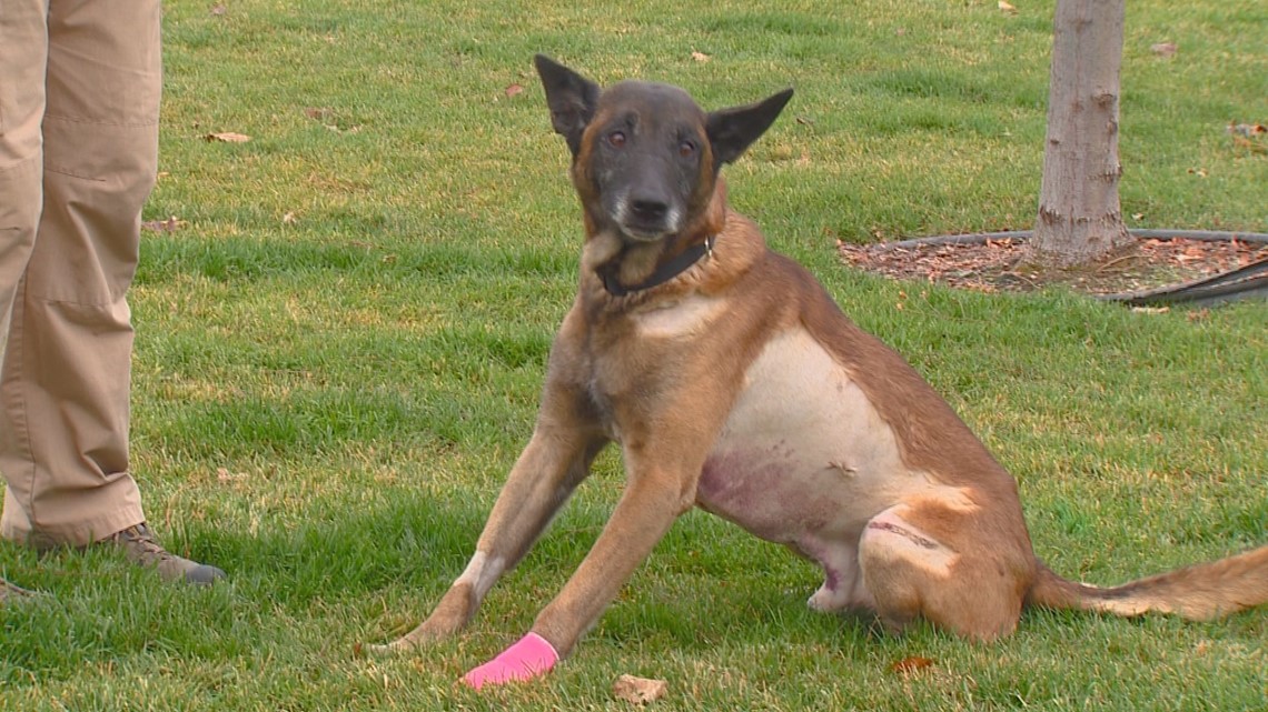 Site for Idaho Police K9 memorial remains in limbo | ktvb.com