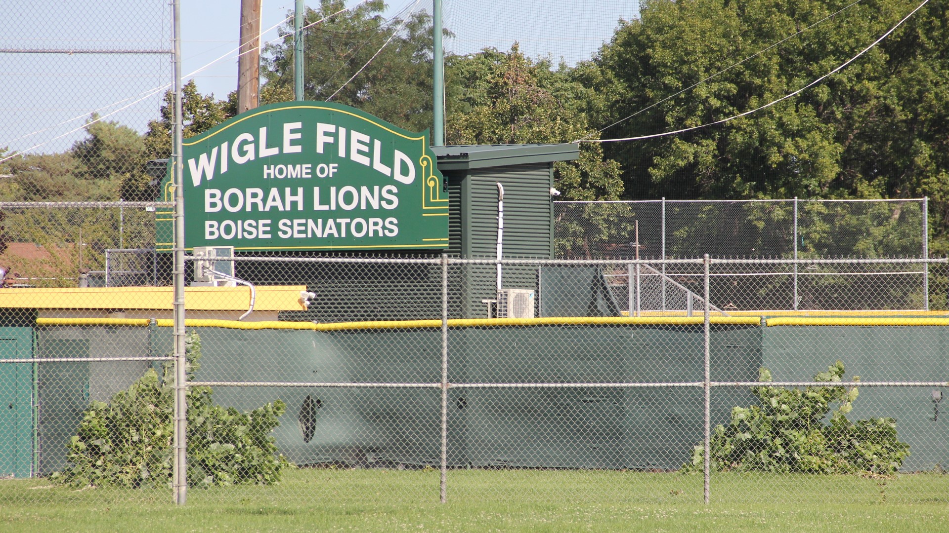 'We need to make sure Borah football lives up to its name': Lions ...
