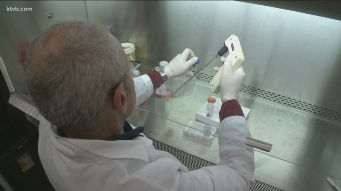 How common are false-positive COVID-19 tests? | ktvb.com