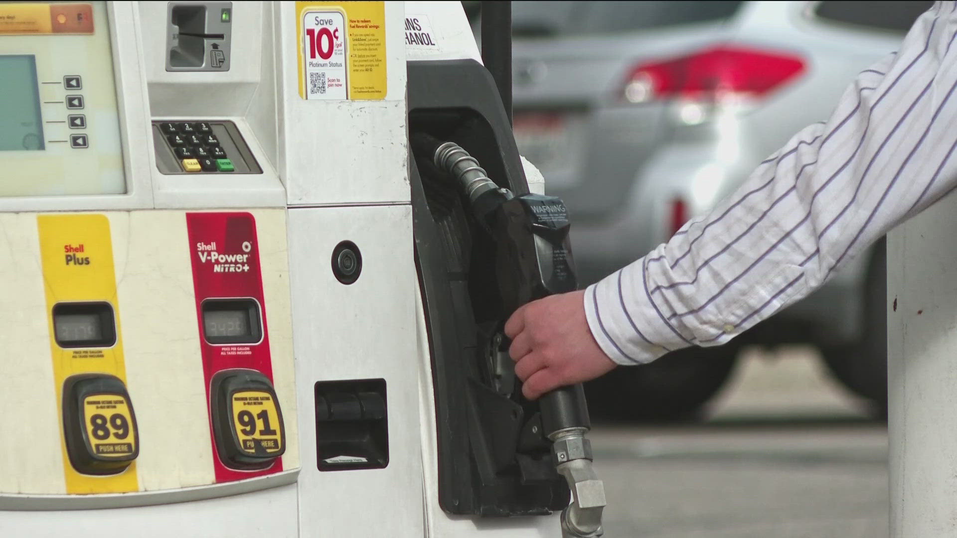 Wowed by the agility dogs at the Westminster show? A winning handler ...