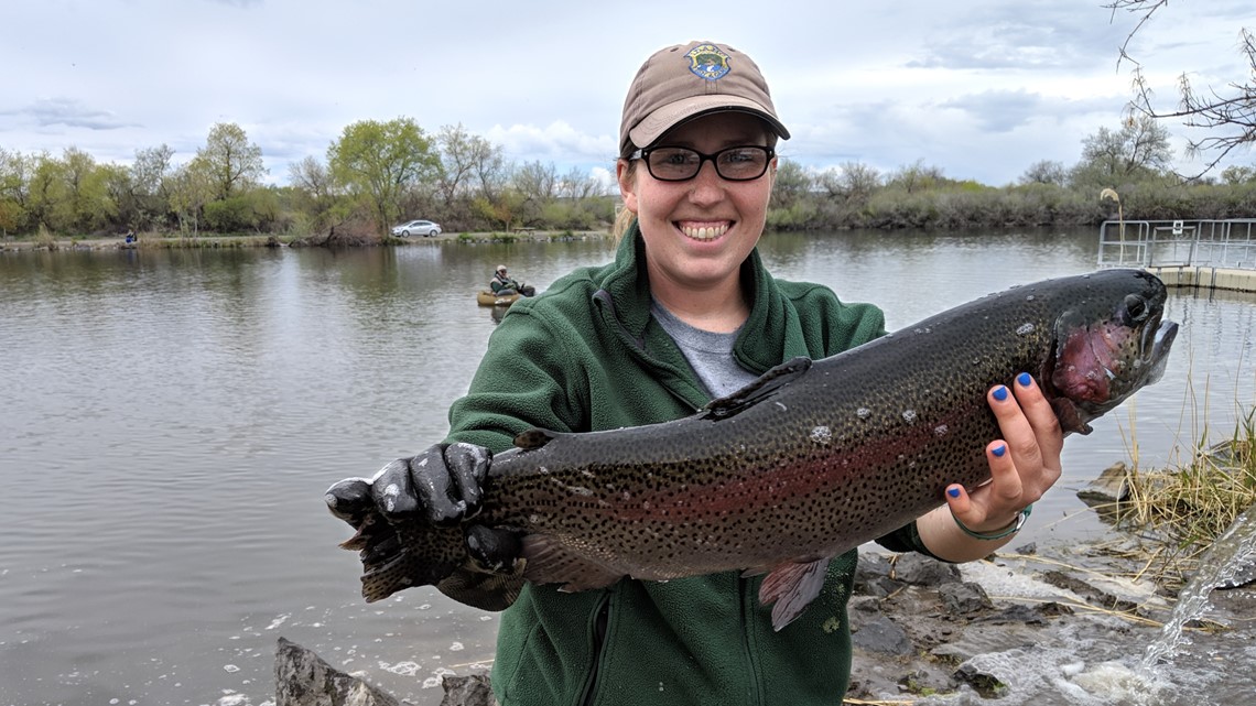 Idaho Fish and Game is stocking big trout in Magic Valley ponds | ktvb.com